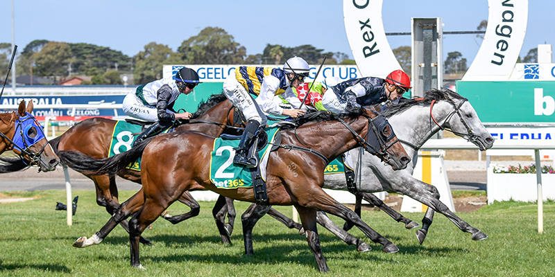 Premium Hospitality and Corporate Sales