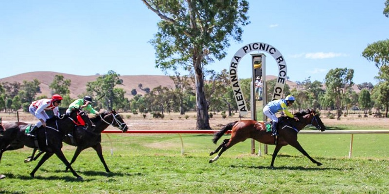 Country Racing Victoria Premium Hospitality and Corporate Sales