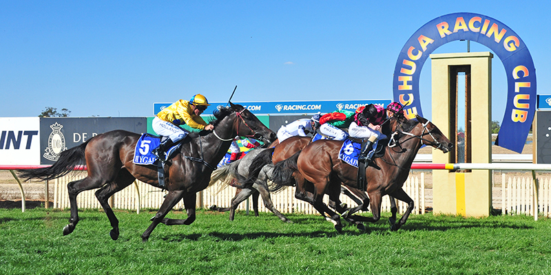 Country Racing Victoria Premium Hospitality and Corporate Sales