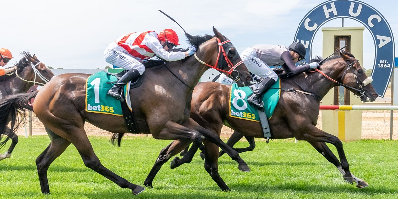 Country Racing Victoria Premium Hospitality and Corporate Sales