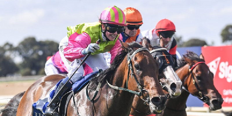 Country Racing Victoria Premium Hospitality and Corporate Sales