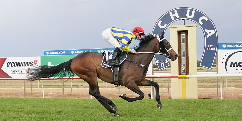 Country Racing Victoria Premium Hospitality and Corporate Sales