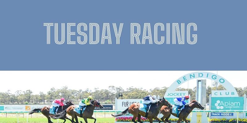 Country Racing Victoria Premium Hospitality and Corporate Sales