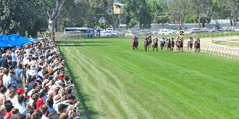 Country Racing Victoria Premium Hospitality and Corporate Sales